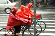 Urban Daily Life | Rain